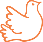 SteelBridge ic-bird - SteelBridge